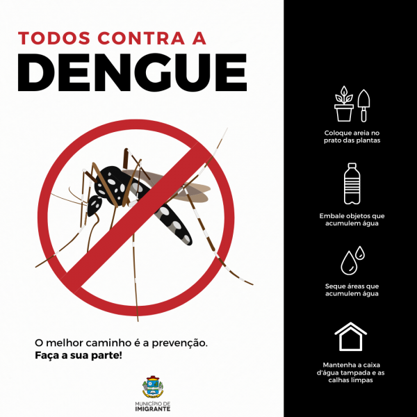 Notícia Município Emite Alerta Sobre A Proliferação Do Mosquito Da
